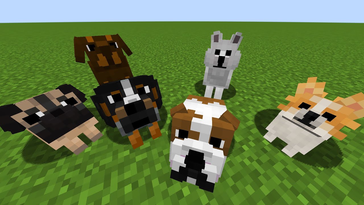 new dogs in minecraft! :3 - YouTube