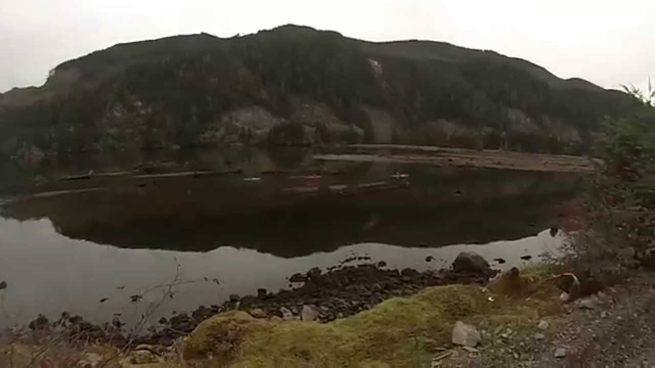 Side Bay Vancouver island - YouTube