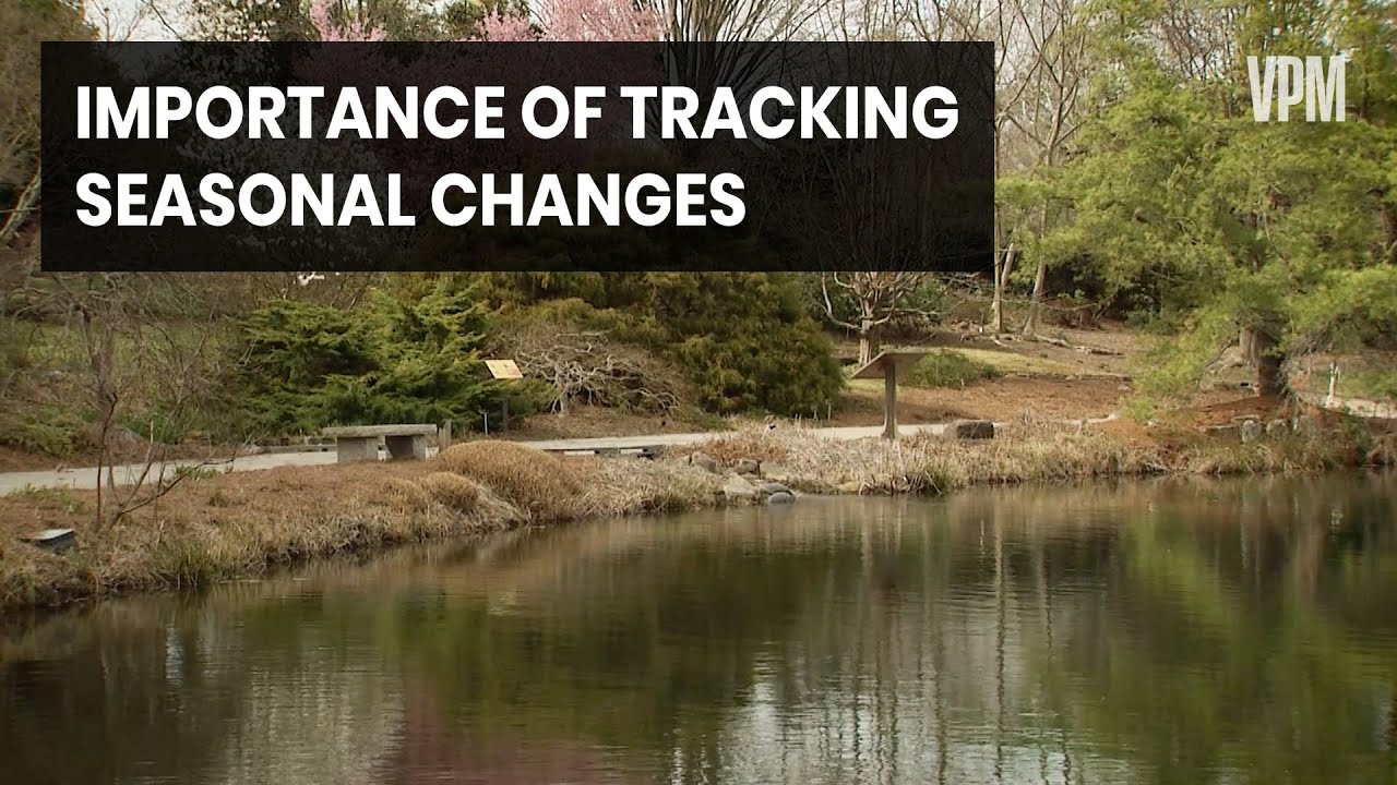 Community science tracks seasonal changes in plants and wildlife - YouTube
