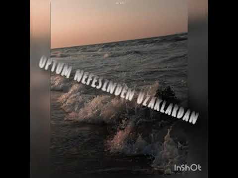 öptüm nefesinden sözleri(türkish version)