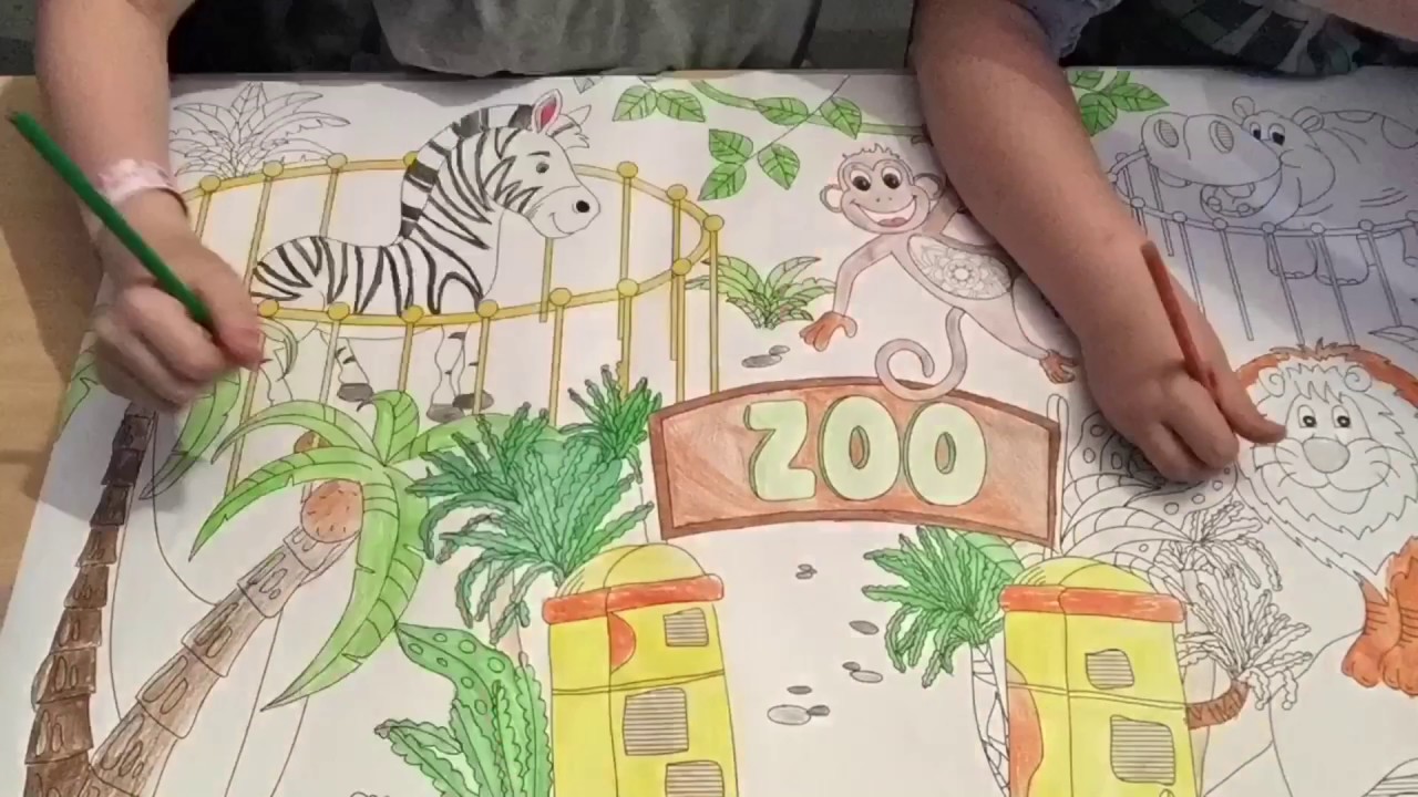 Colouring in a zoo picture - part two! - YouTube