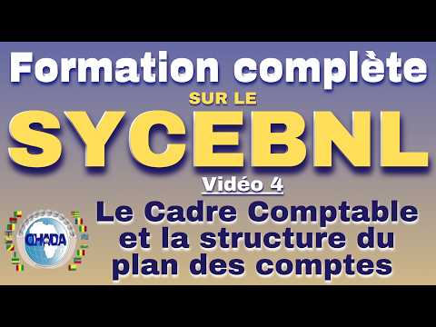 Formation complète cadre comptable du SYCEBNL Vidéo 4 - YouTube