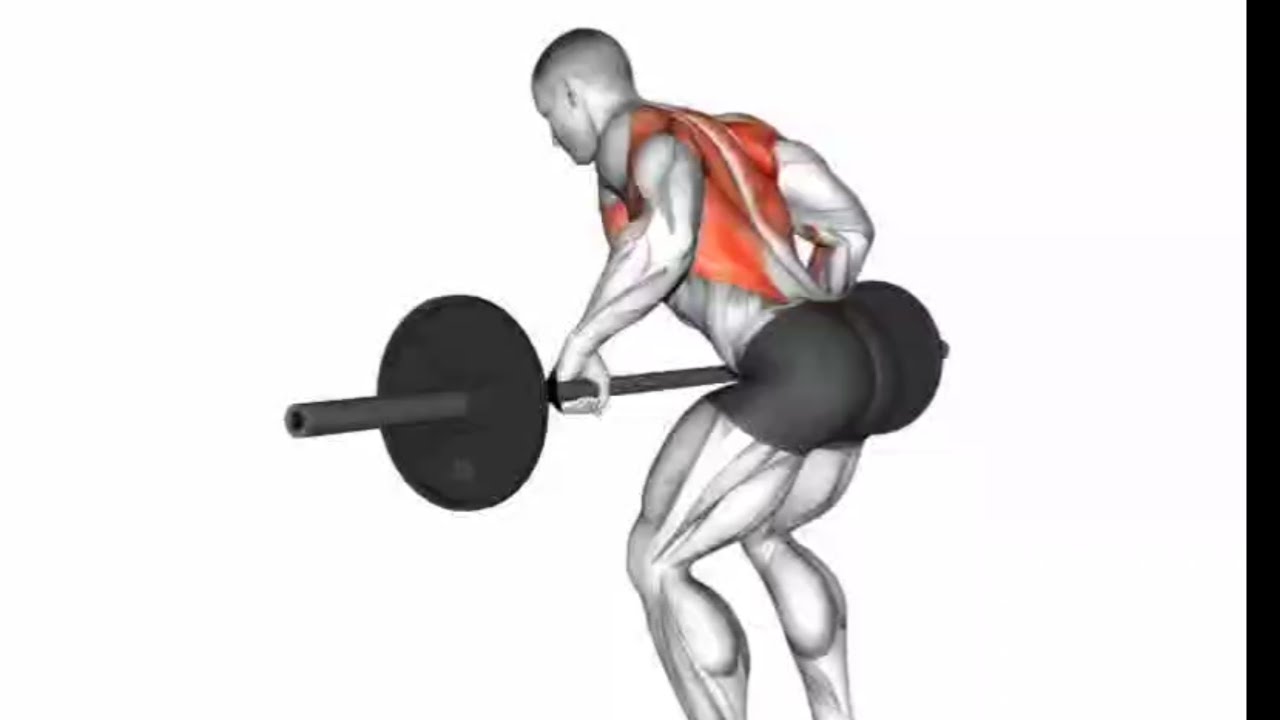 morning routine,warm up,warm up at home,warm up exercises - YouTube