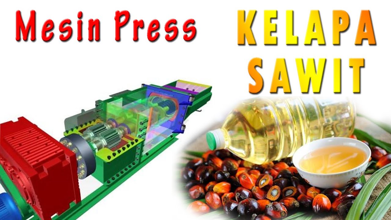 MESIN PRESS BUAH KELAPA SAWIT | Palm Press Machine | Screw Press ...