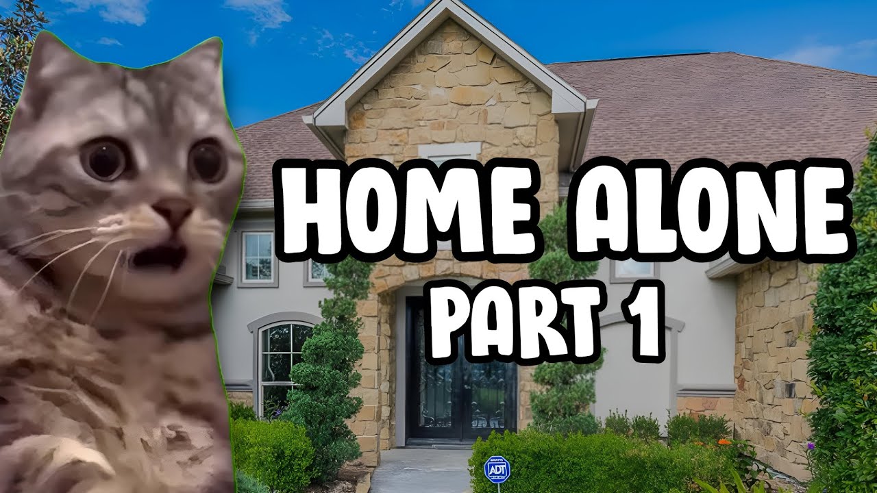 CAT MEMES HOME ALONE PART 1 - YouTube