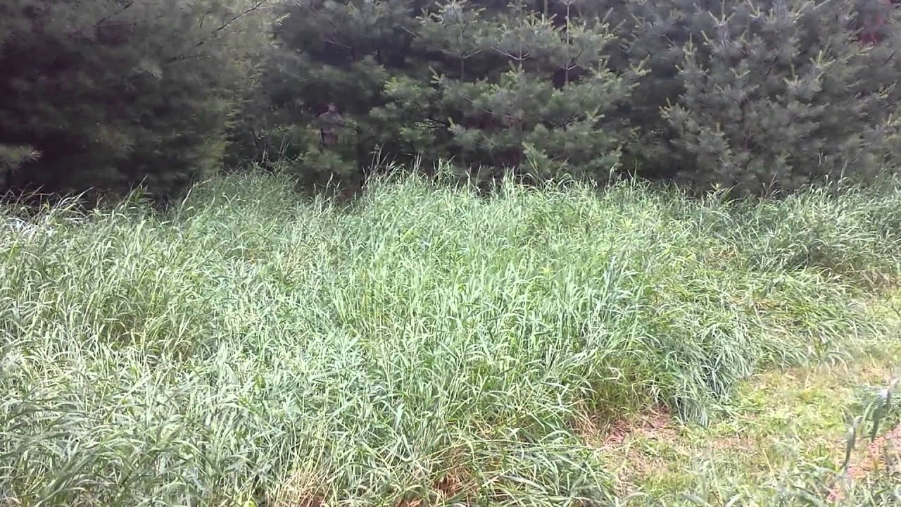 MotoShot 4AWD Moving Target System on tough terrain - YouTube