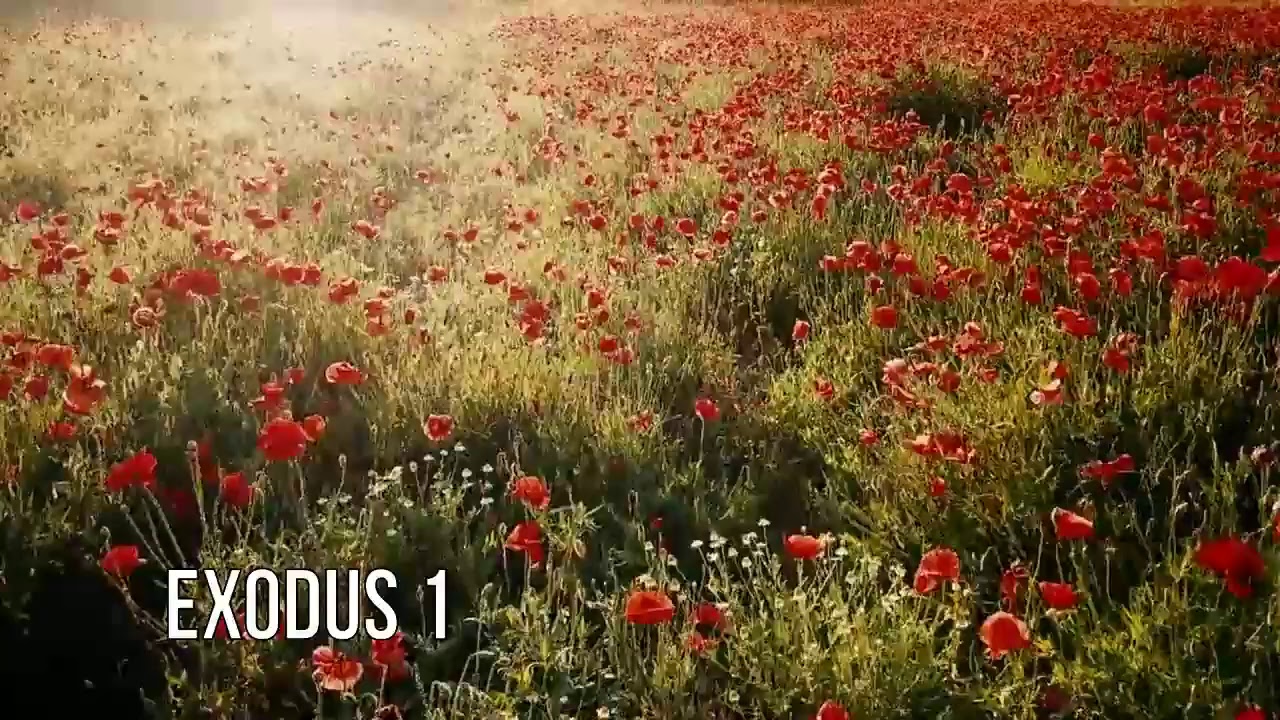 Audio Holy Bible Exodus - YouTube