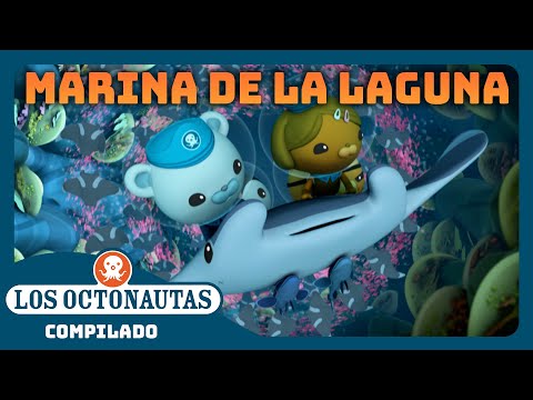 Los Octonautas - 🪸 El nido secreto de la criatura marina de la laguna 🐠 | Episodios Completos