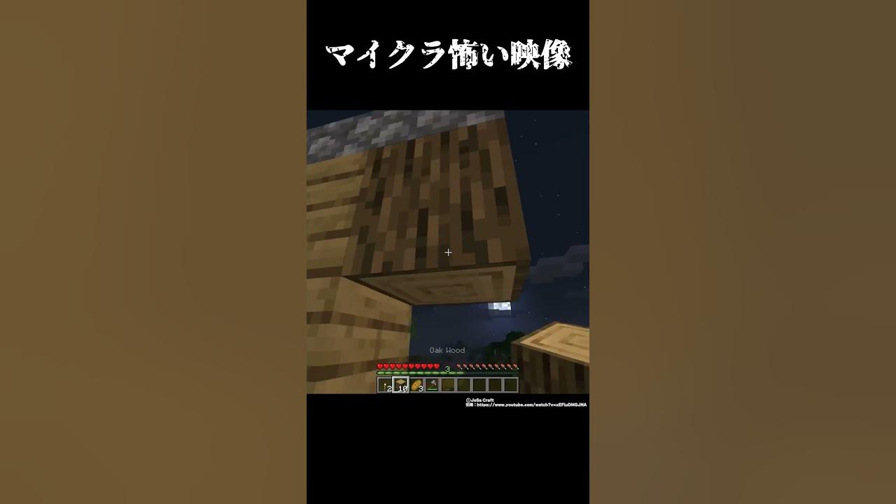 世界で発見されたマイクラの奇妙なモノ【ゆっくり解説】 Shorts Youtube