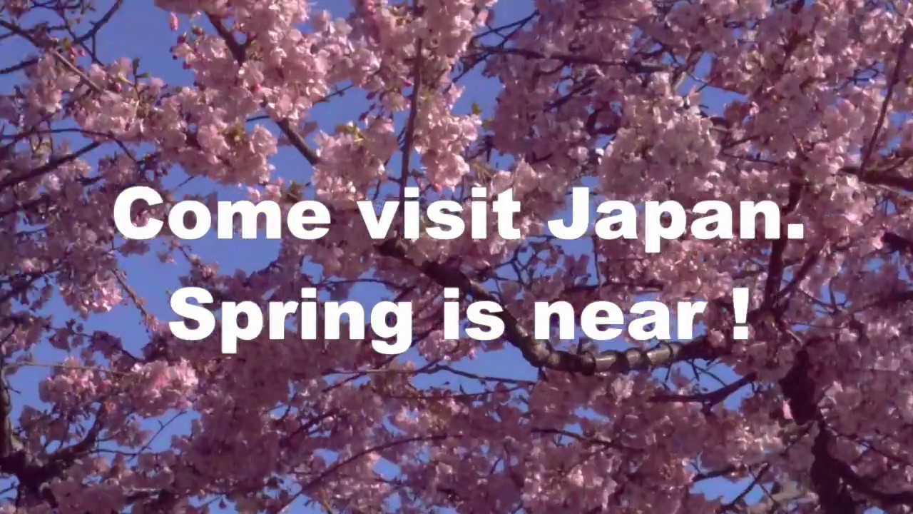 Come visit Japan! Spring is just around the corner. - YouTube