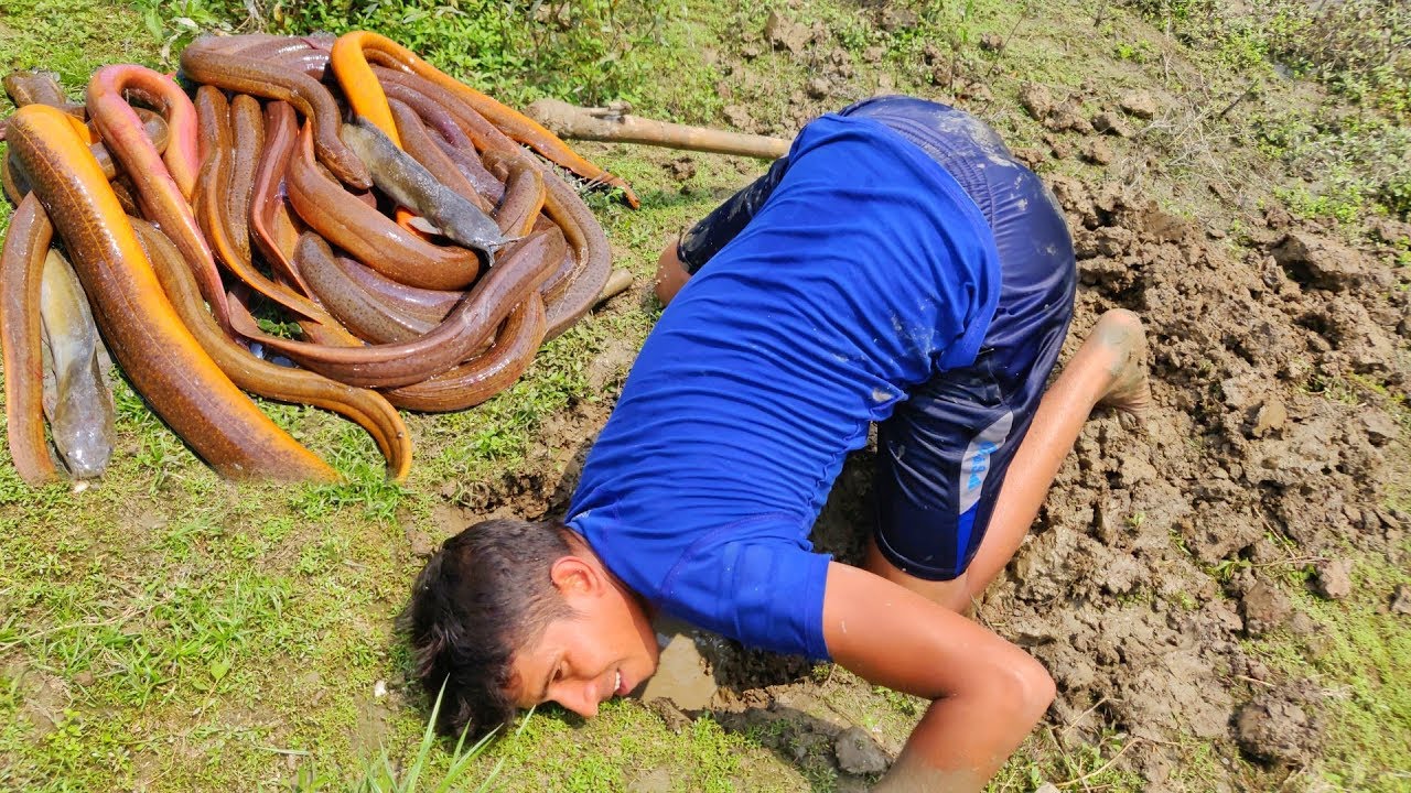 Best Eel Fishing | Boy Hunting Eel Fish From Very Deep Fish Hole By ...