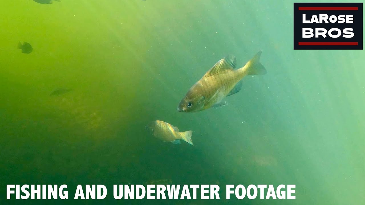 Fishing for Panfish at Silver Lake and Underwater Footage - LaRoseBros ...