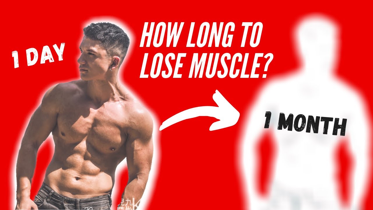 How Much Muscle Are You Losing While Out Of The Gym? (And how to slow ...