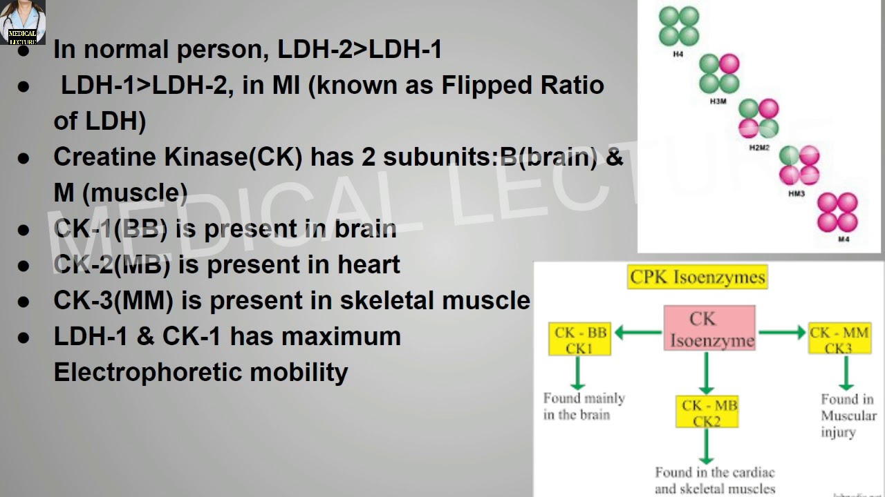 BIOCHEMISTRY IMP NOTES TO SOLVE MCQs & ONE LINERS || PART:17 || MEDICAL ...