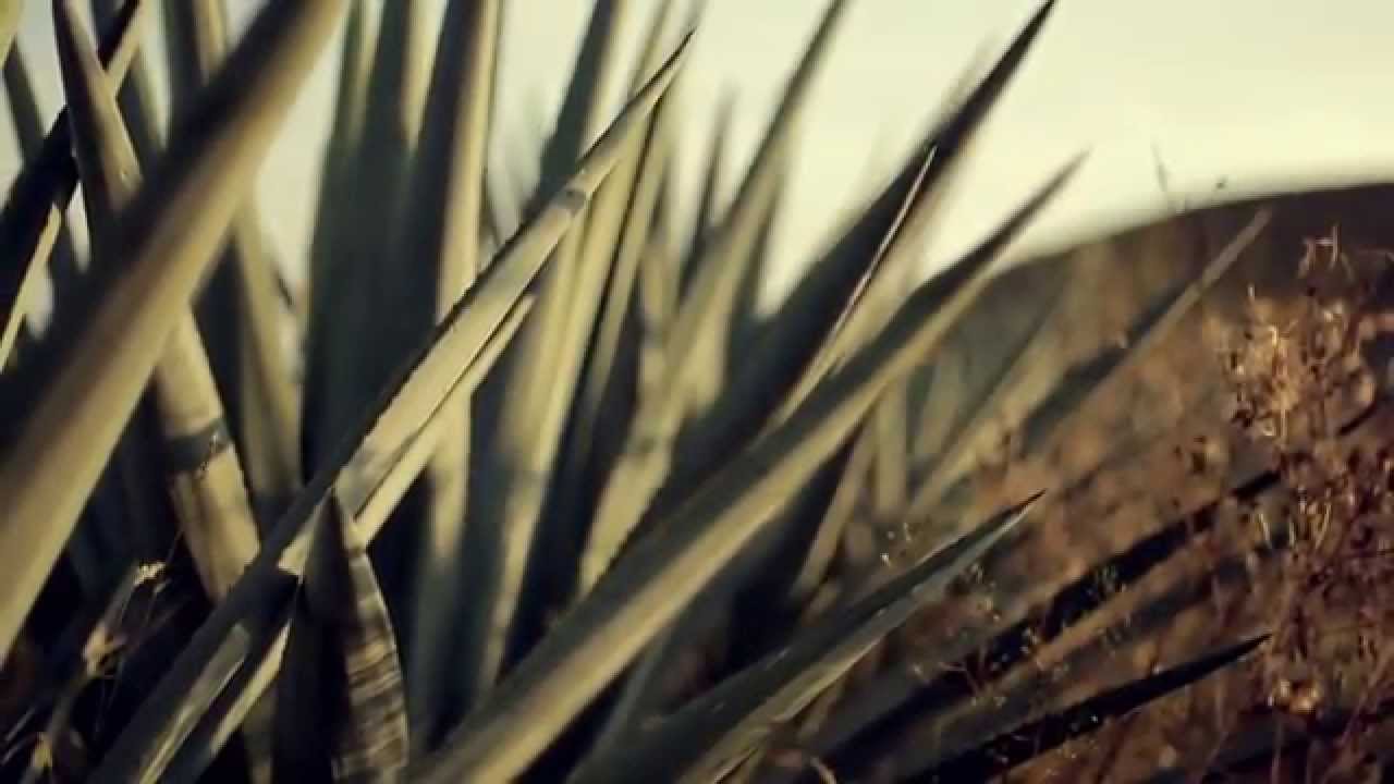 Tequila Commercial (English) - YouTube