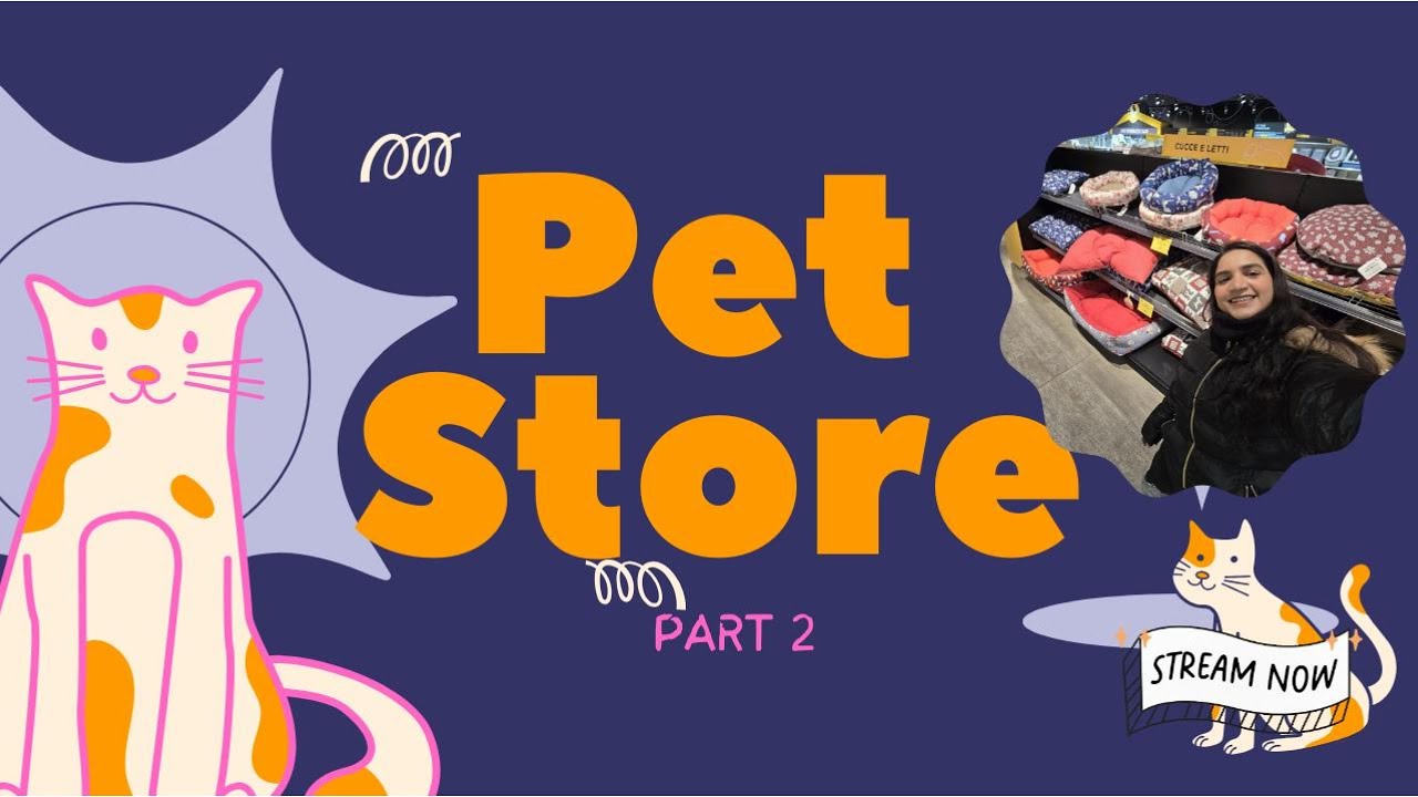 Pet Store visit (part2) - YouTube