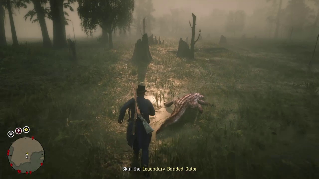 Rdr2 legendary banded gator RED DEAD REDEMPTION 2/ - YouTube