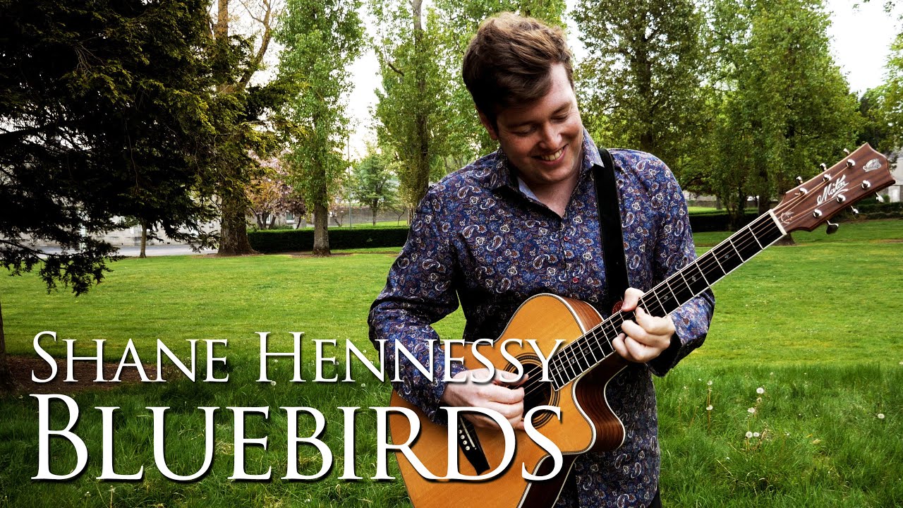Bluebirds | Originals | Shane Hennessy - YouTube