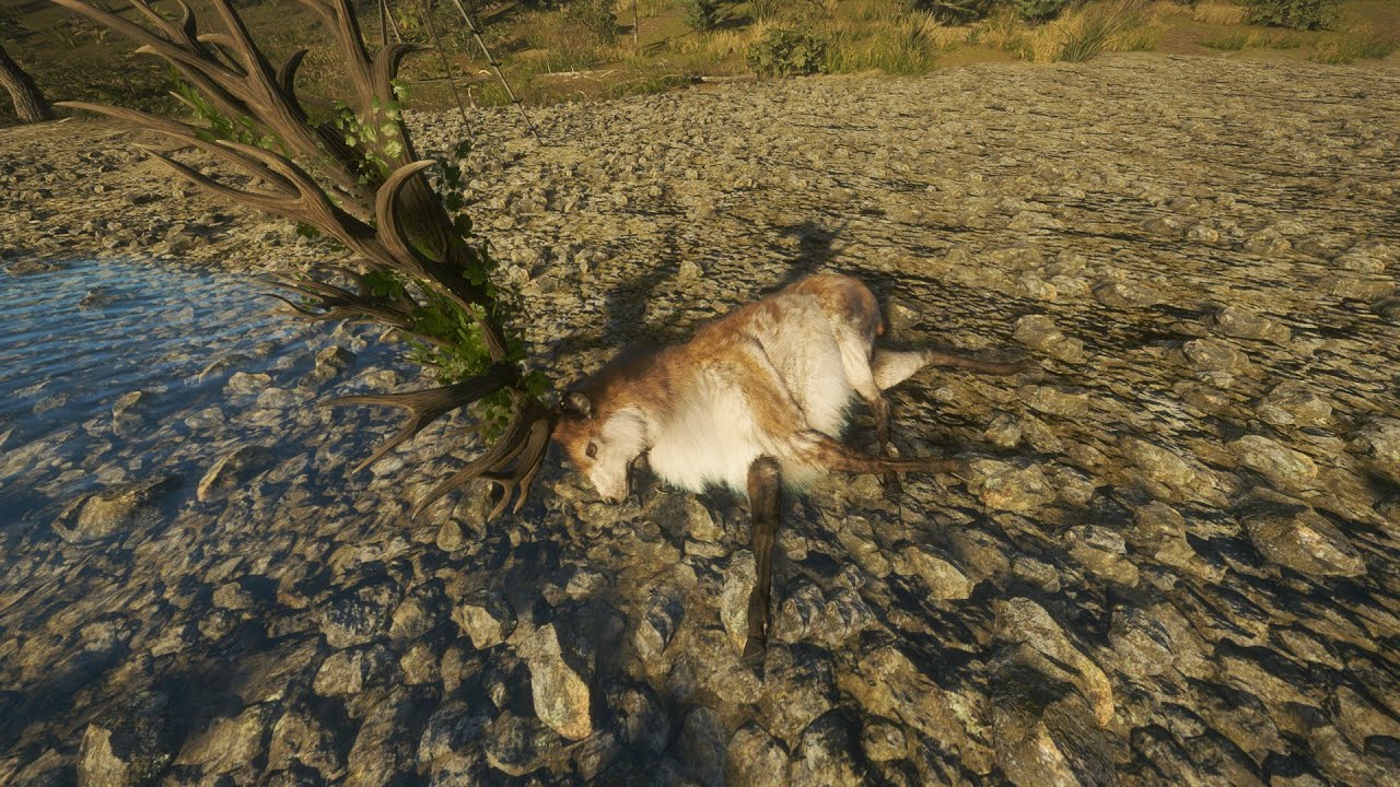 theHunter: Call of the Wild: Great One Red Deer (Fabled Spotted) - YouTube