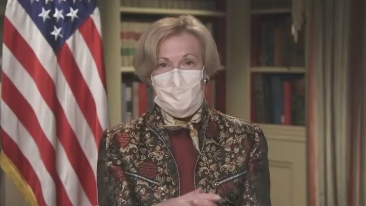 Dr. Deborah Birx 11/12/20 - YouTube