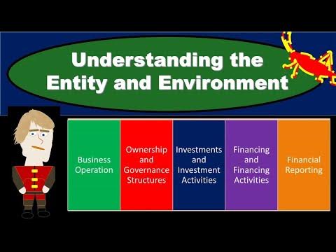 Understanding the entity and it's environment ( topic 3 Auditing @NAISHAACADEMY ) - YouTube