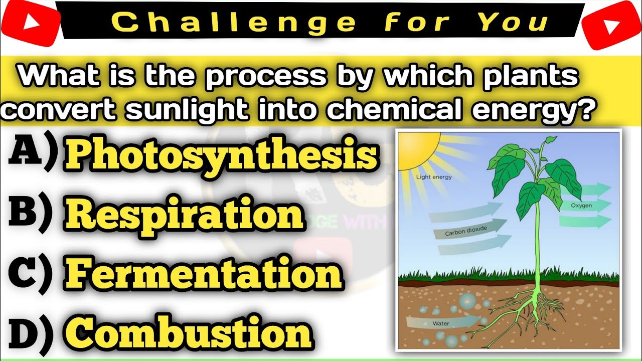 Science Most brilliant Question answer||Top 15 Science Quiz - YouTube