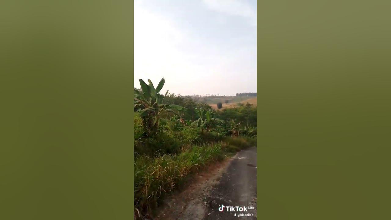 Puncak watu bucu guyangan.. - YouTube