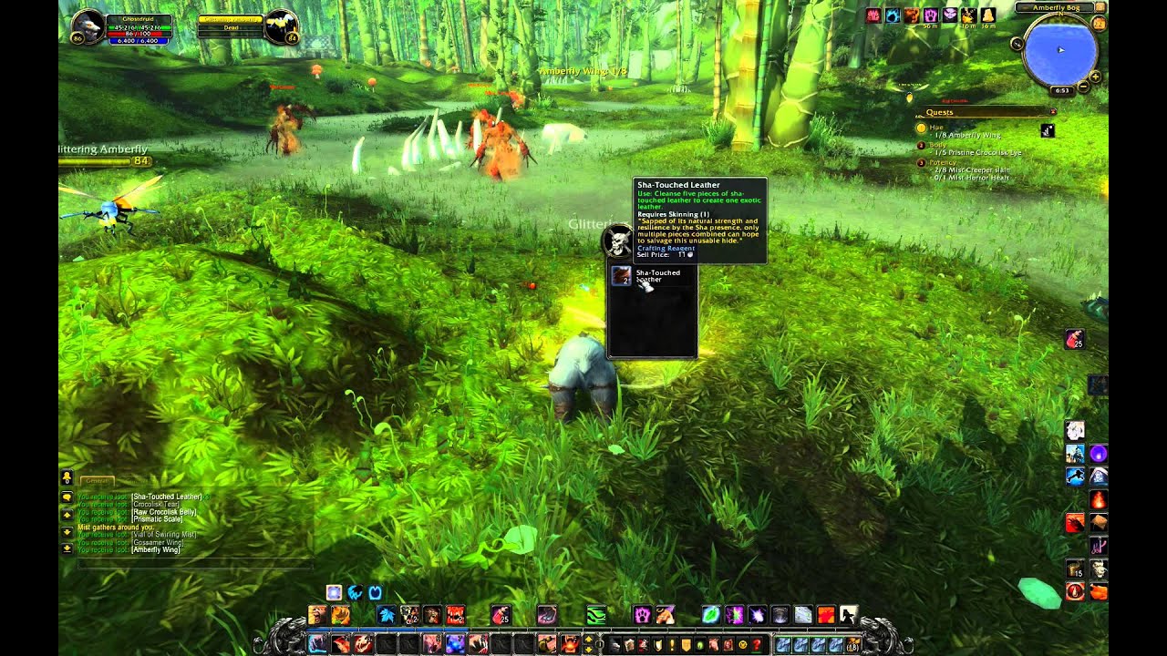 Mists of Pandaria - Let's Play - Anduin Wrynn - Druid 8 - YouTube