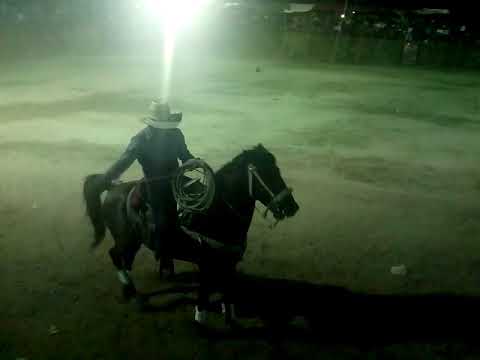 CORRIDA DE HOLCA🐂🐎-HOLCA 2019 - YouTube