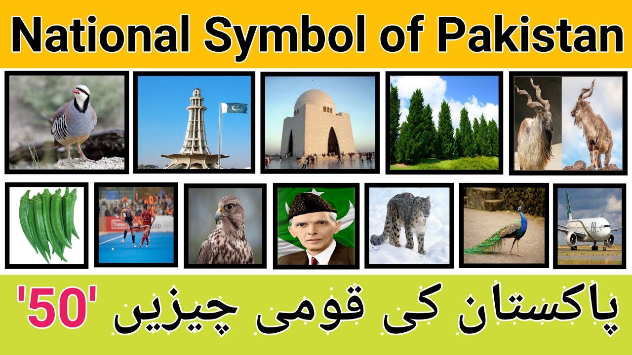 National Symbols of Pakistan || National Things of Pakistan || Top ...