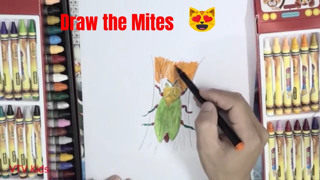 #VTVKids | How to draw and color the Mites - YouTube