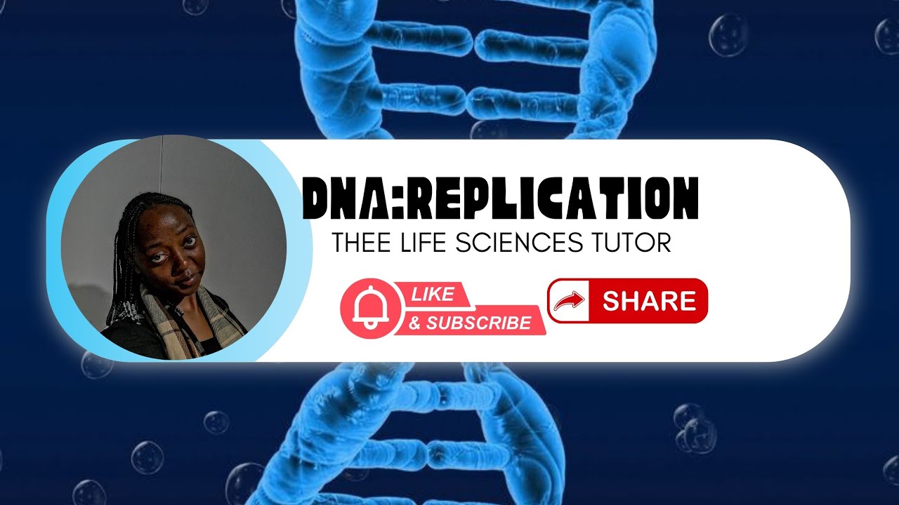 Grade 12 DNA Replication - YouTube