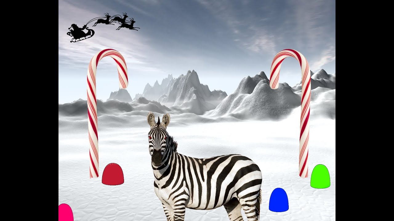 Festive Demon Zebra - YouTube