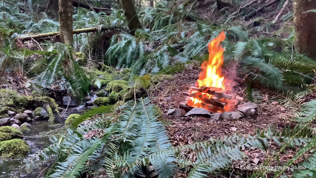 Creek side campfire 4K/HD - Vancouver Island *enjoy the outdoors ...