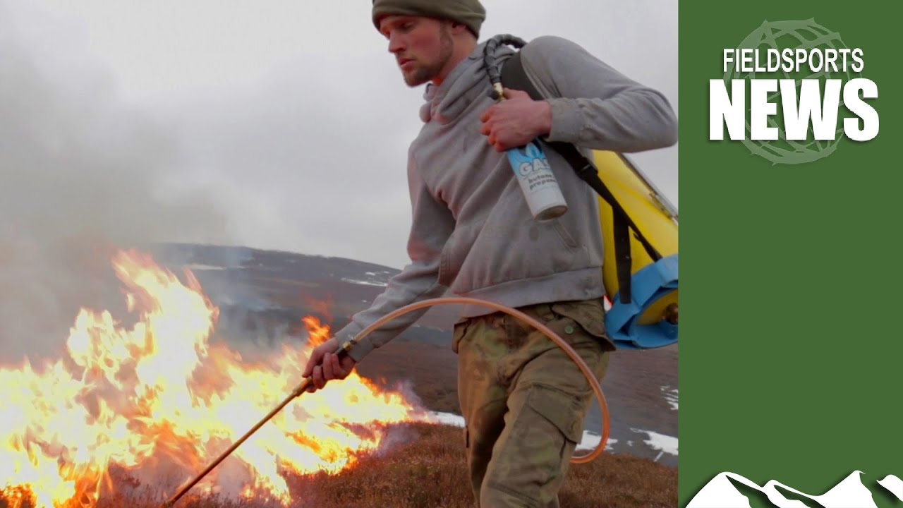 British wildfire season 2020 - YouTube