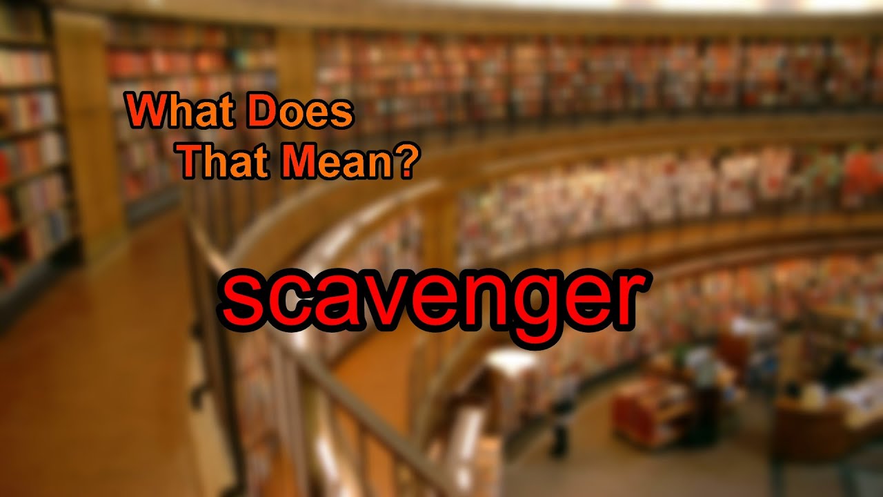 What does scavenger mean? - YouTube