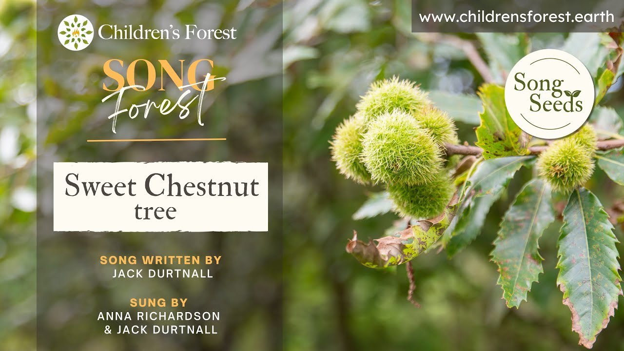 Sweet Chestnut Song - YouTube
