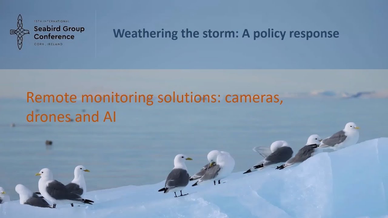 Remote monitoring solutions: cameras, drones and AI - Tom Hart - YouTube