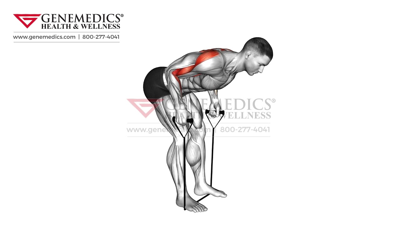 Band bent over row male Back Exercise - YouTube
