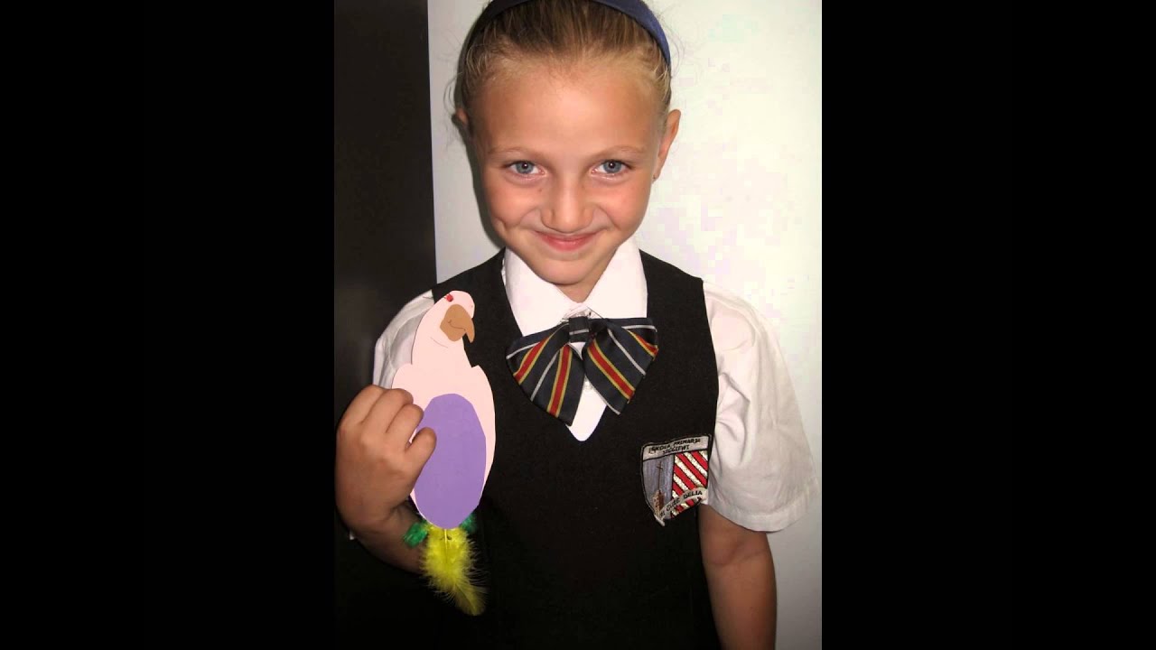 Our Parrot Classroom Board 2013 - Parrot Craft and Writings - YouTube