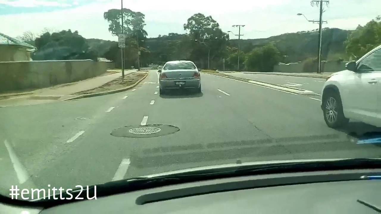 How fast can a koala run #emitts2U - YouTube