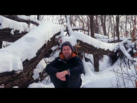Kip Jones: Artists Statement