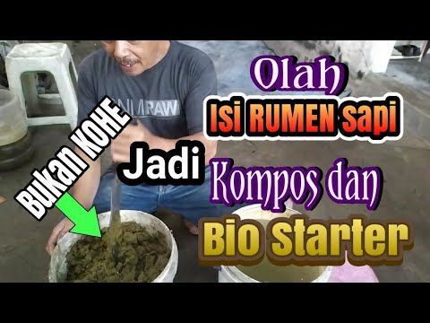 Cara mengolah Isi RUMEN sapi jadi Kompos berkwalitas tinggi‼️ - YouTube