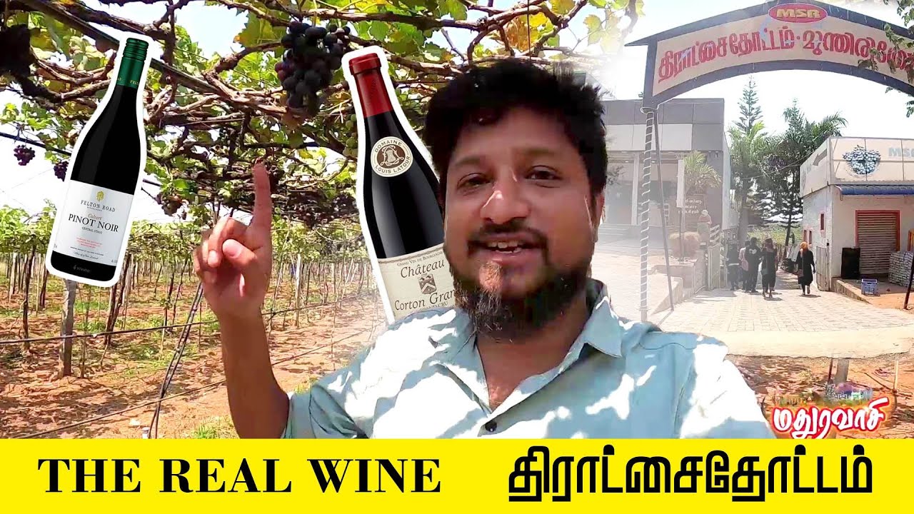 Fresh Wine Shop | Kambam Valley | #kambam #wine - YouTube