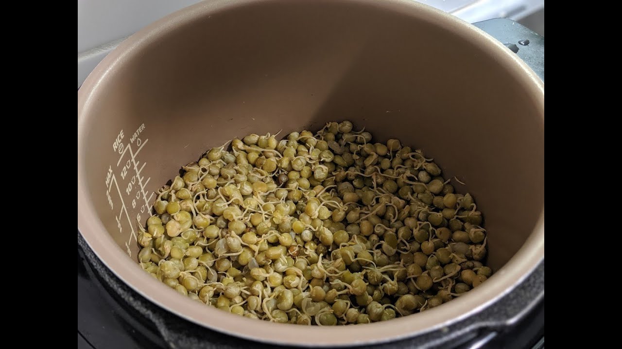 Myanmar (Burmese) boiled pea (Pea Pyote) - ပဲပြုတ် - 30 seconds - YouTube