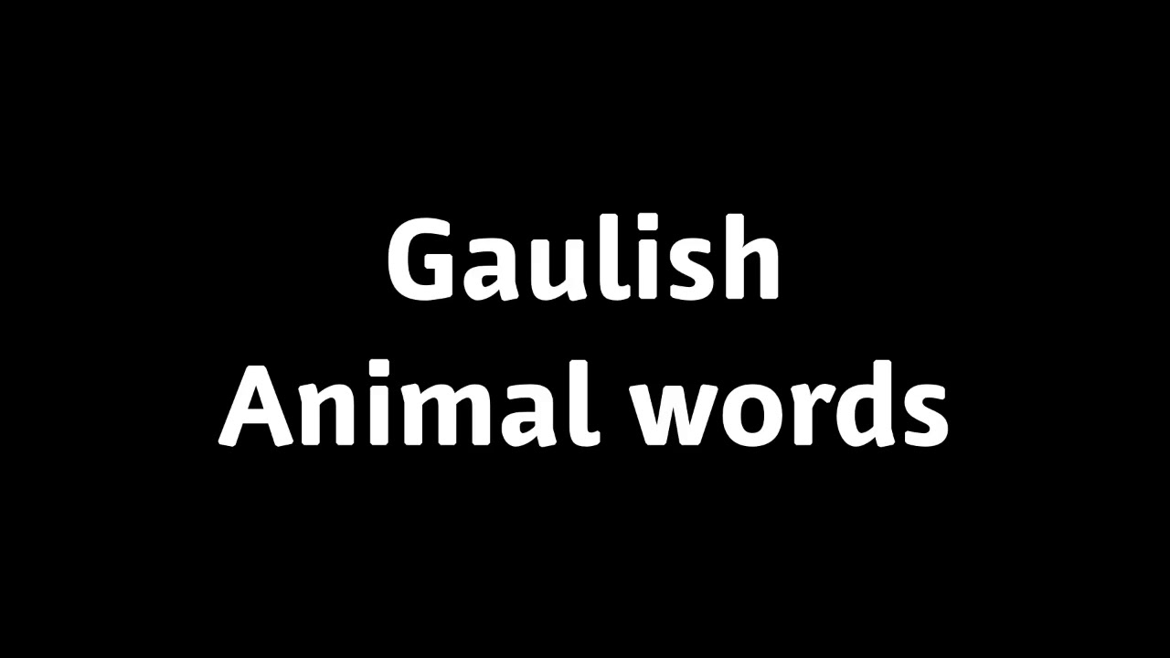 Gaulish animals - YouTube