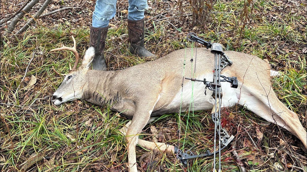 Booner tracking a butt shot buck. - YouTube