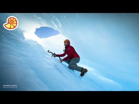 Buzdağı Operasyonu  | Da Vinci