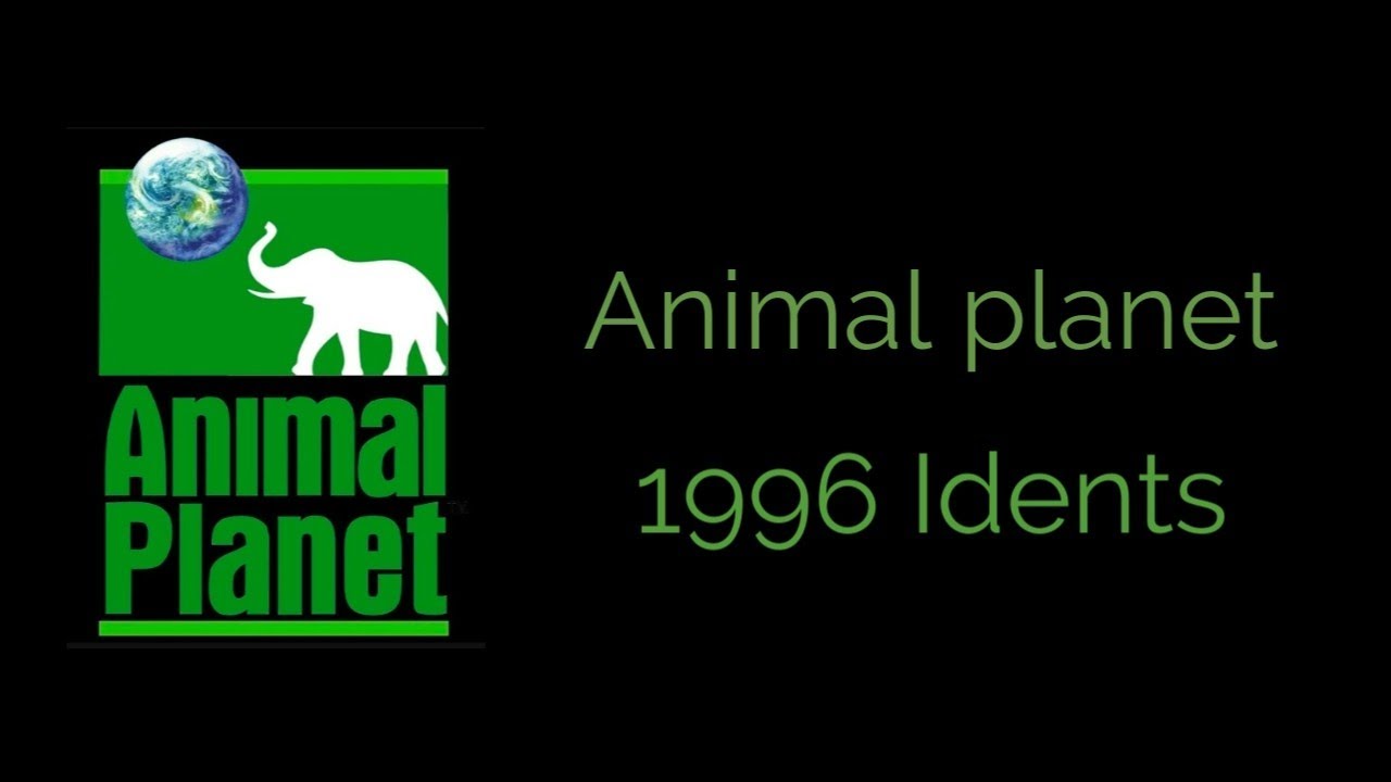 Animal planet -1996 Idents - YouTube