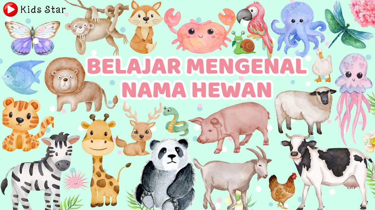 BELAJAR MENGENAL NAMA-NAMA HEWAN BAHASA INDONESIA-INGGRIS | BELAJAR ...